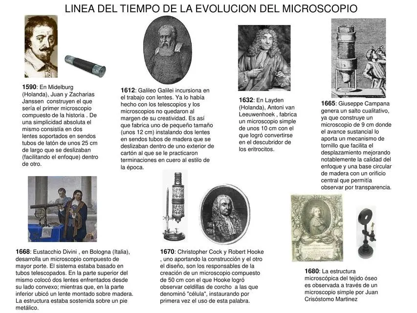 Evolución Del Microscopio: Historia Y Avances | En Pocas Palabras