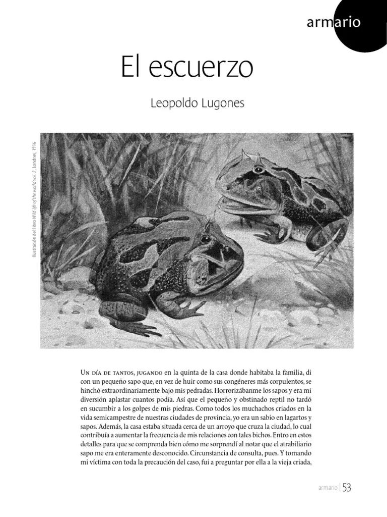El Escuerzo: Resumen Literario Y Análisis Del Conflicto | En Pocas Palabras